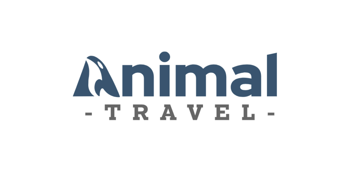 Home - Animal Travel - Tu Pasaje a La Aventura - Excursiones en Puerto ...